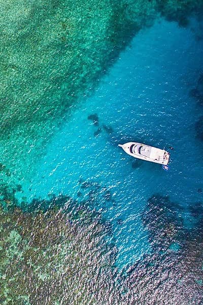 Mission Beach Reef Tours - Advice & Bookings - Licuala Lodge